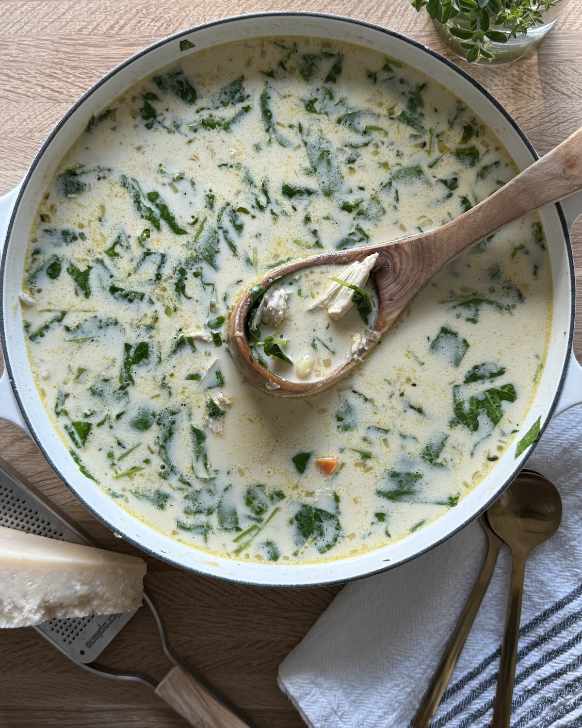 Italian Chicken Gnocchi Soup - Italy In Your Kitchen