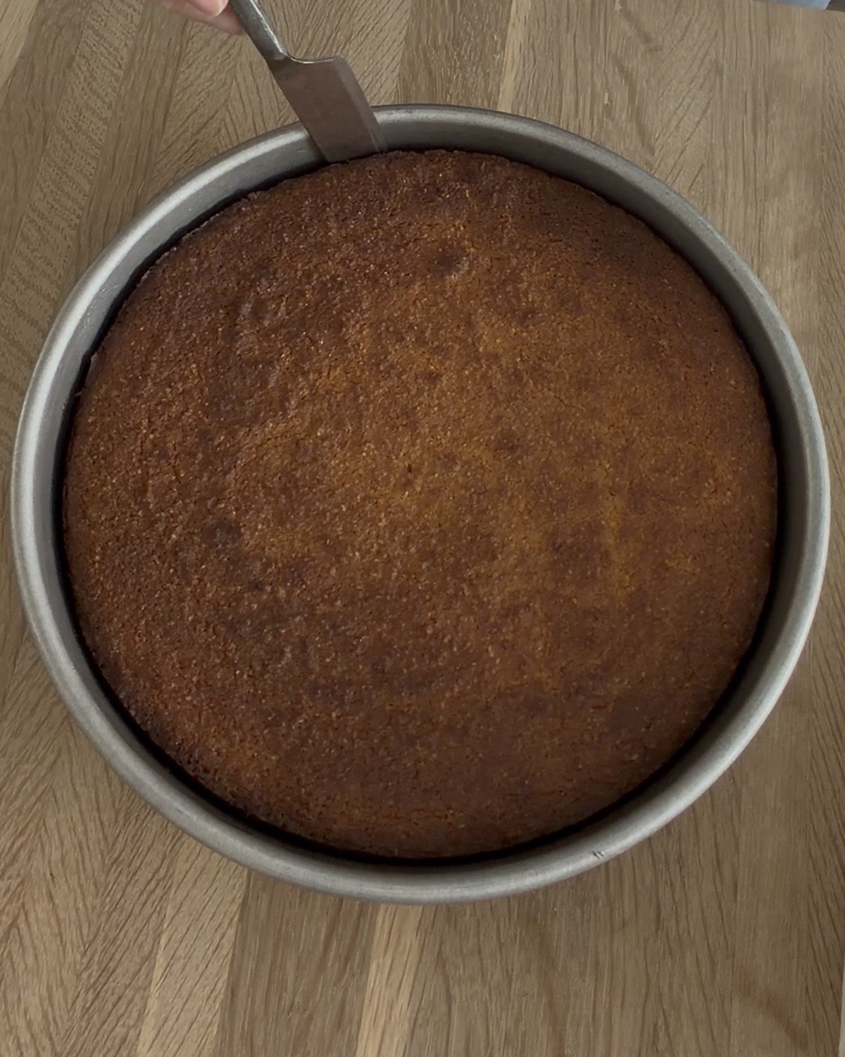 Almond Ricotta Cake - Italy In Your Kitchen